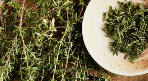 Infusion de thym : bienfaits et recette pour en profiter au quotidien