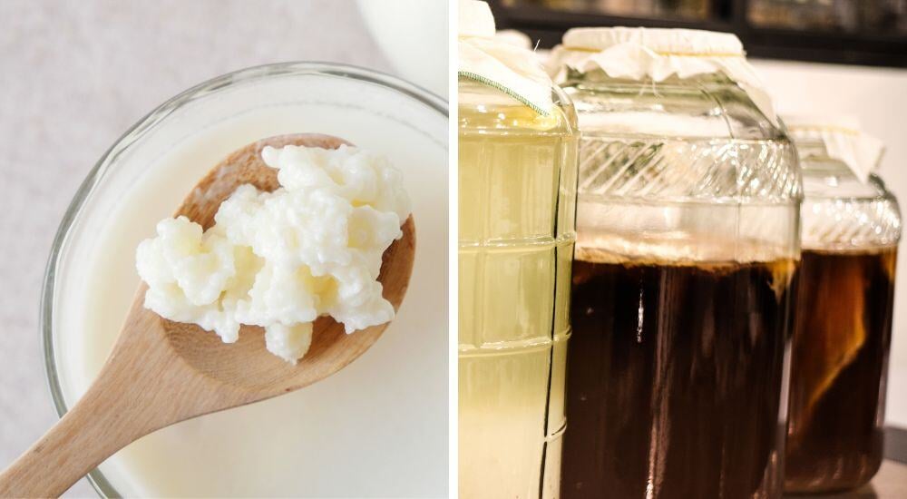 Bienfaits du kéfir : pourquoi cette boisson fermentée a tout bon